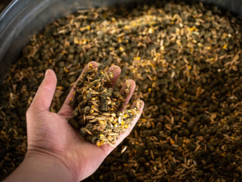 Home » Microbe-Based Fertilizers | Probiotic Livestock Solutions ...